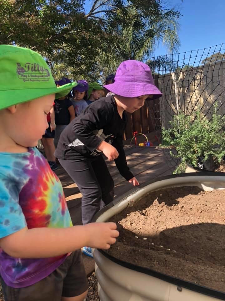 Abermain Environment Experience - Tillys Play & Development Centre